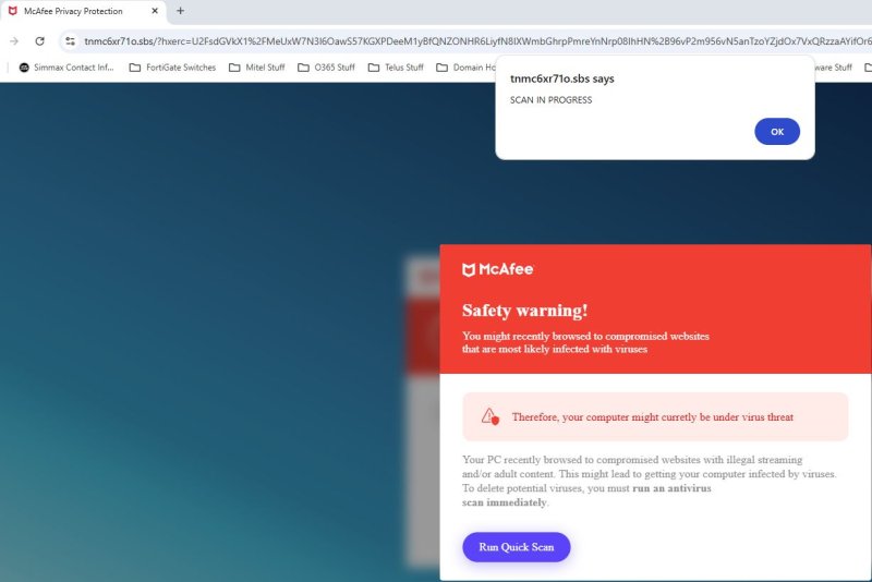 Major issue with site redirects to malware URL | For B Bodies Only ...
