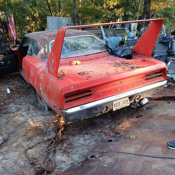 Who says a bird in the hand is better than 2 in the bush | For B Bodies ...